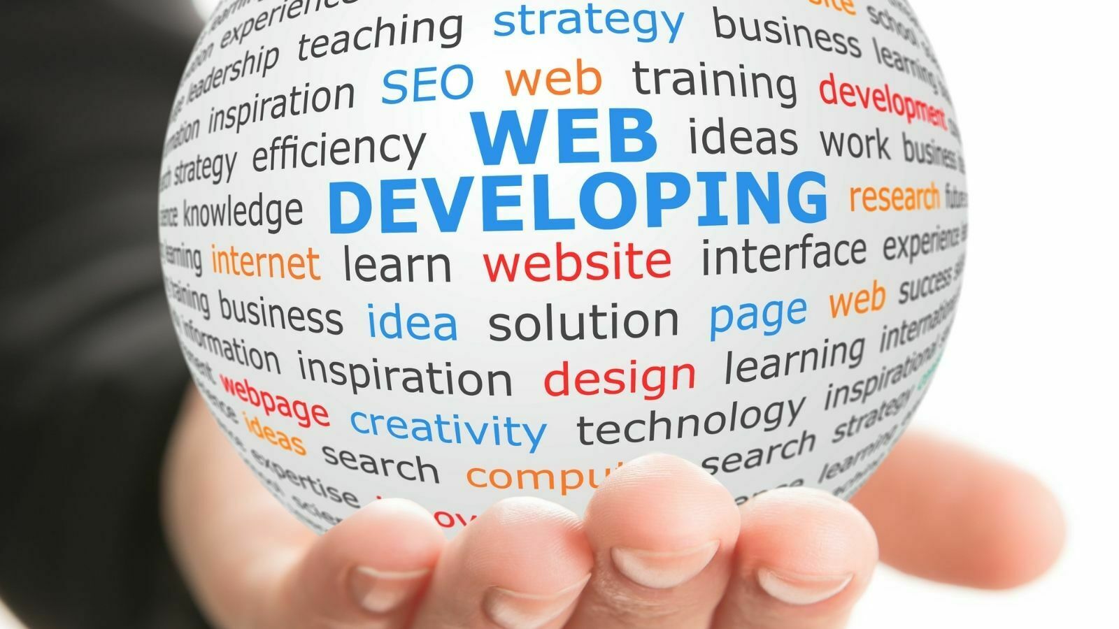 Chi è il Web Developer Full Stack - News Formazione