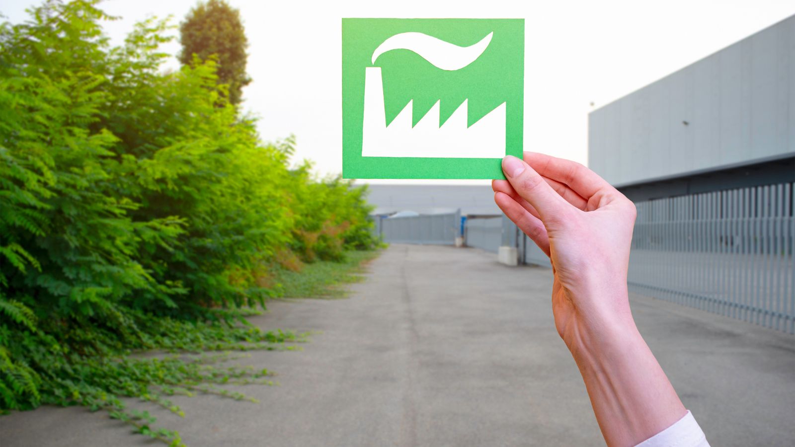 Fondo Nuove Competenze e la svolta green - News Formazione